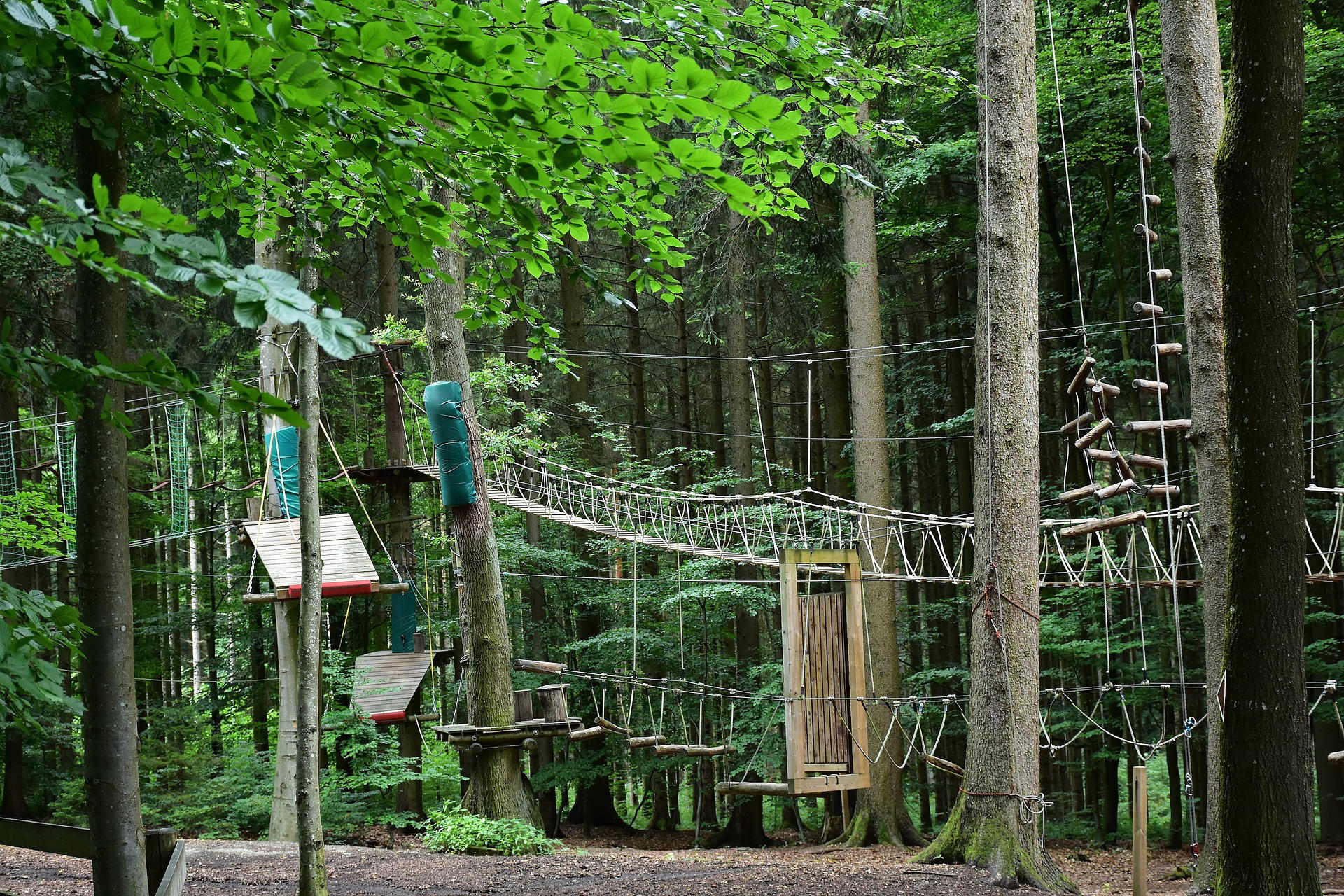 Screen Reader Ropes Course ⋆ SeaMonster Studios